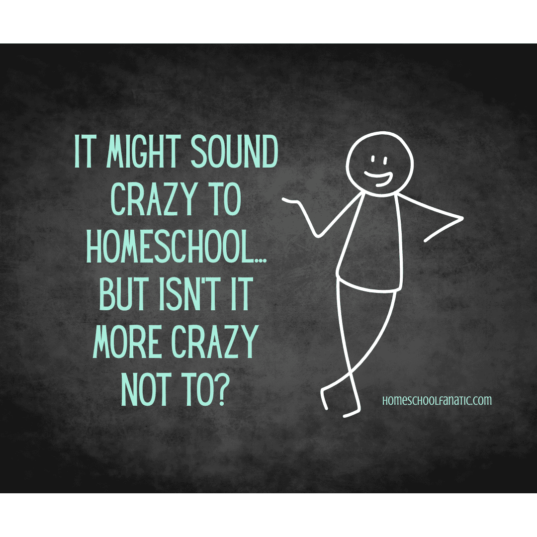 Thinking of Homeschooling - Are You Crazy? - Homeschool Fanatic